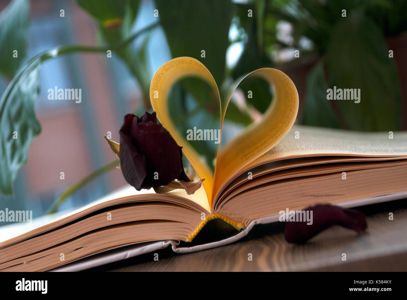 Love and books. Heart shape made from book pages Stock Photo - Alamy