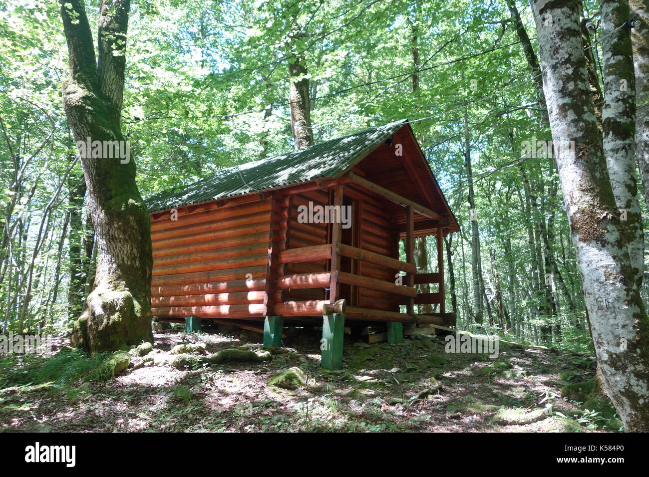wooden house in a forest Stock Photo - Alamy