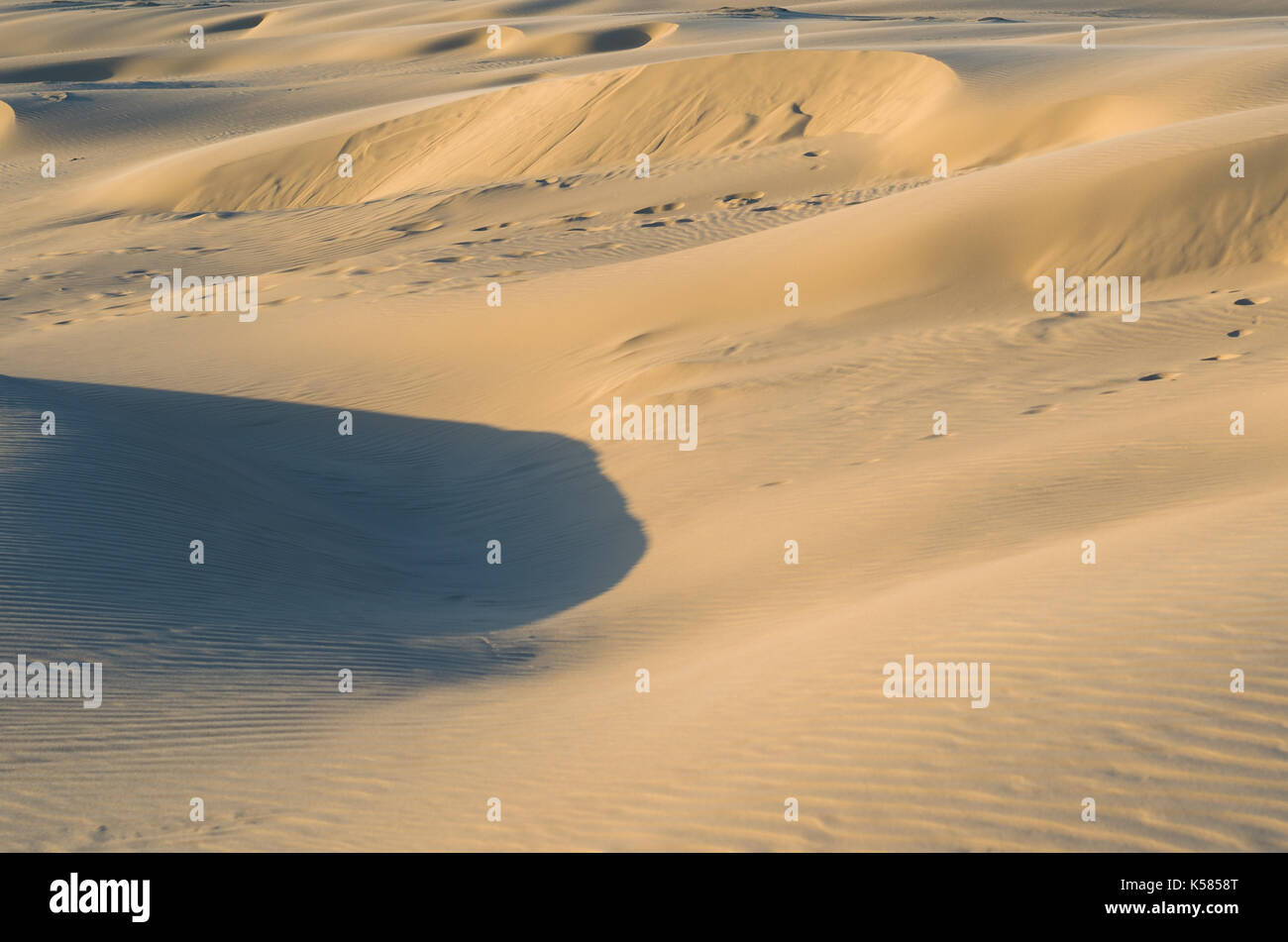 Sand dunes at sunset Stock Photo - Alamy