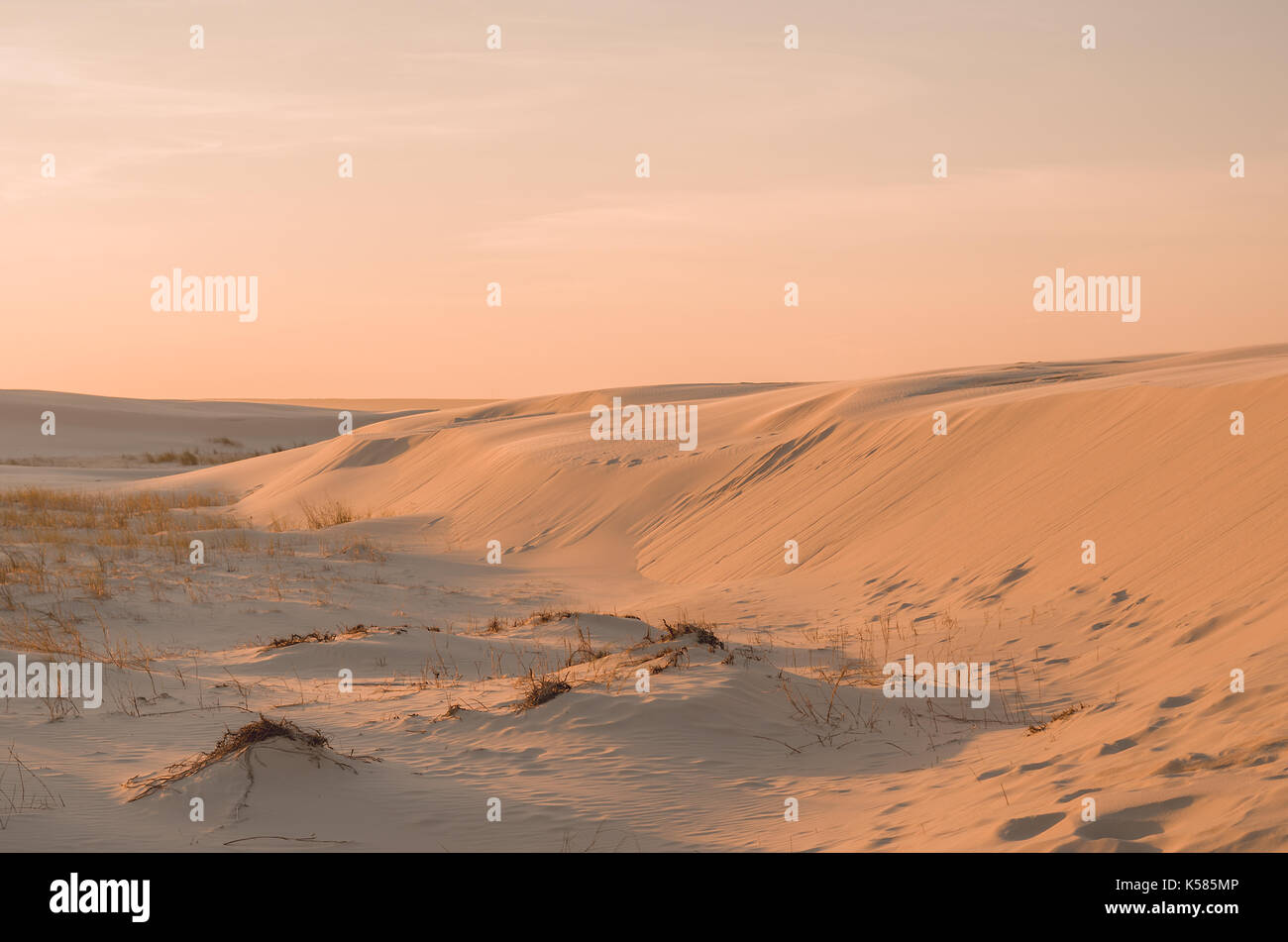 Sand dunes at sunset Stock Photo - Alamy