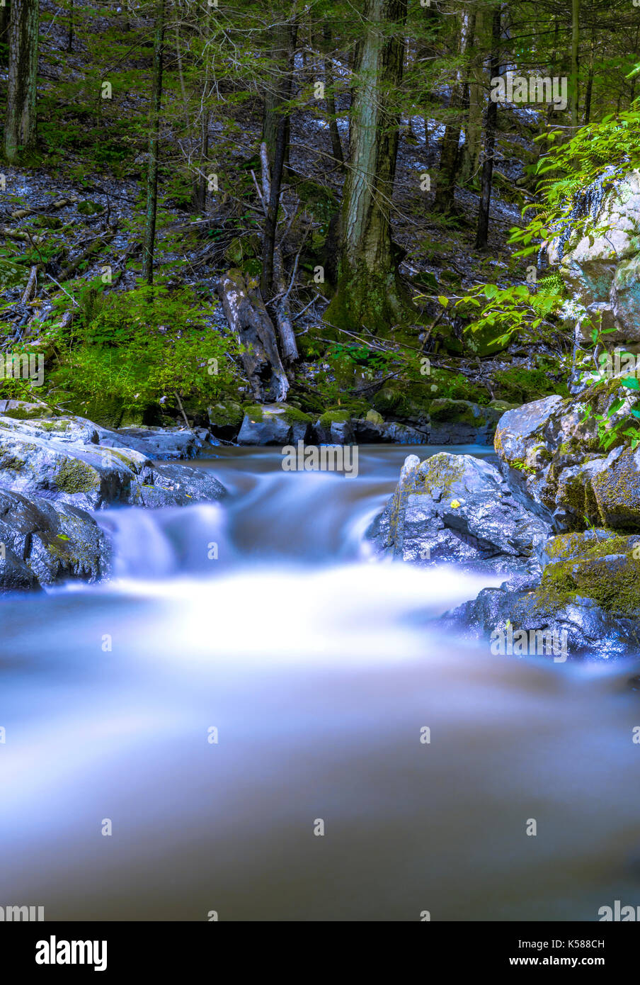 Hidden Water Background