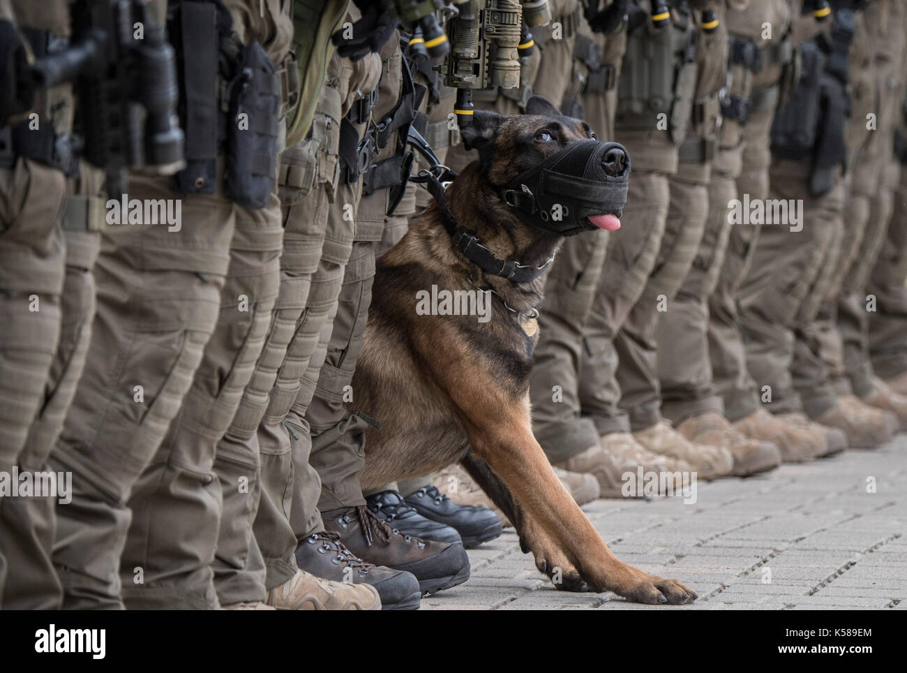 Police commando hi-res stock photography and images - Alamy
