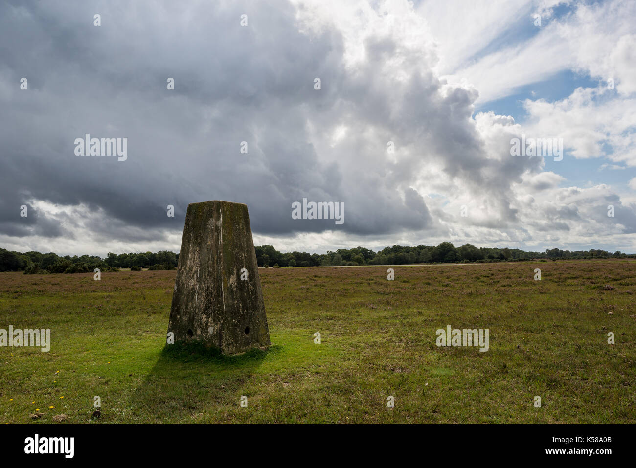 Ordnance Survey trig point stone at Bramble Hill, Bramshaw, New Forest ...