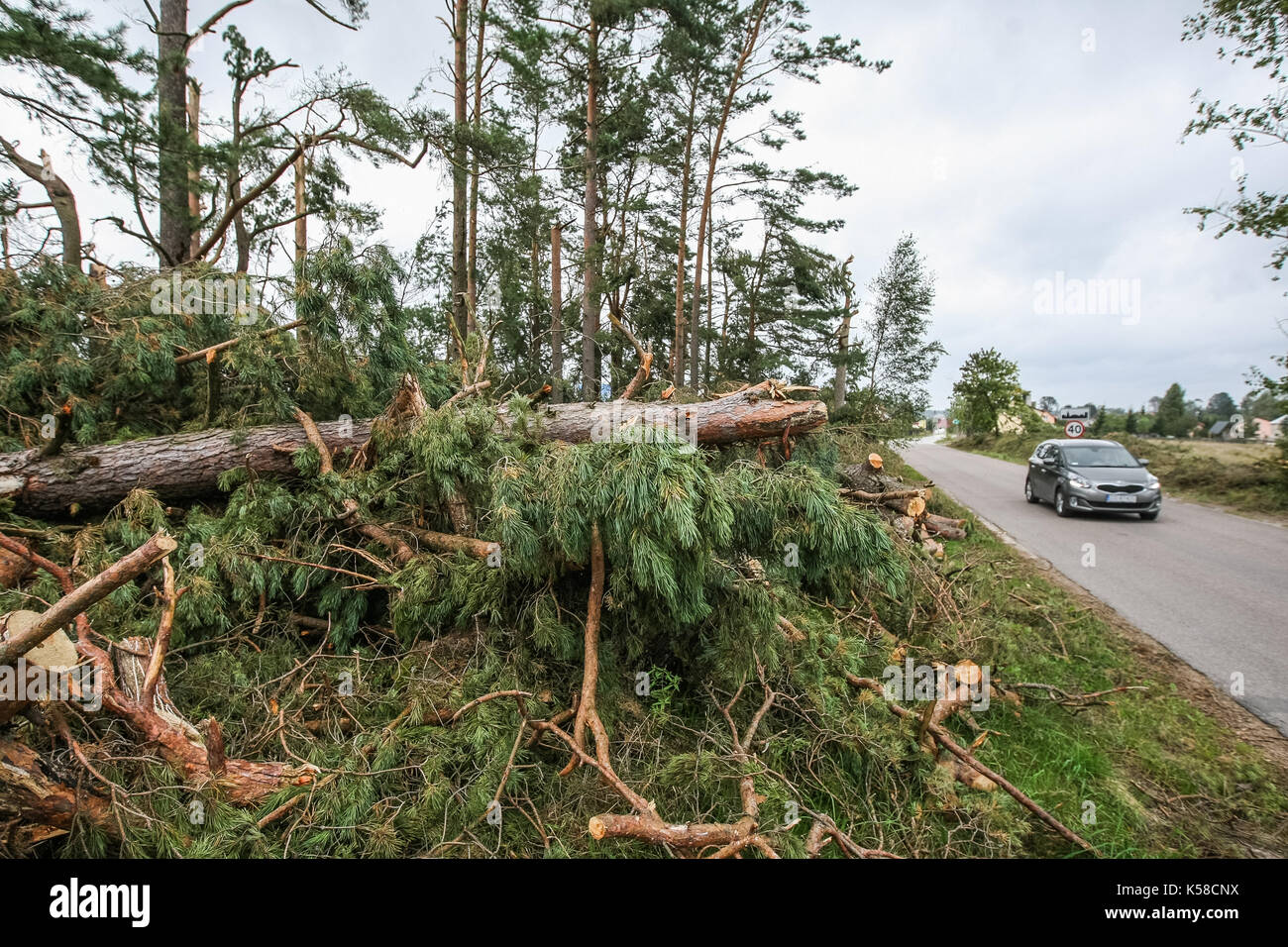 Trzebun, Poland. 08th Sep, 2017. Fallen during the tragic storm trees ...