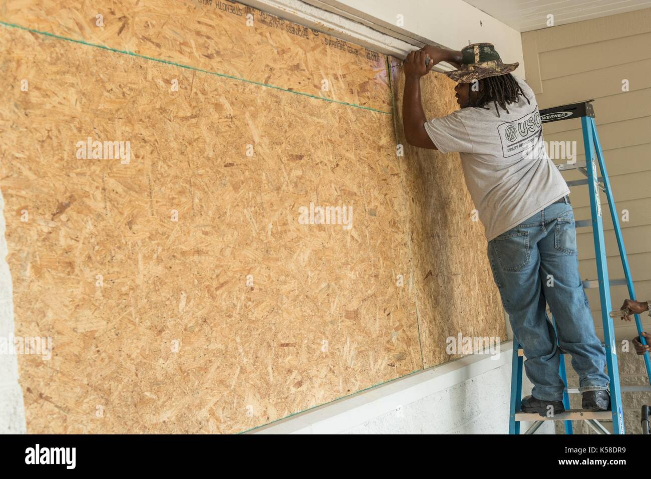 Hurricane protection plywood hi-res stock photography and images - Alamy