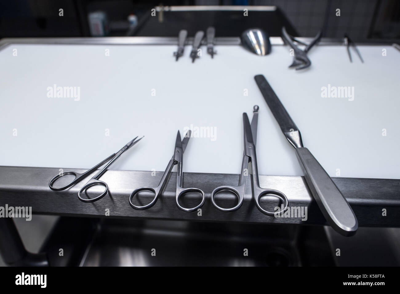 Duesseldorf, Germany. 8th Sep, 2017. Autopsy instruments can be seen at ...