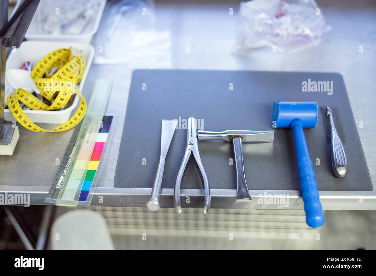Autopsies hi-res stock photography and images - Alamy