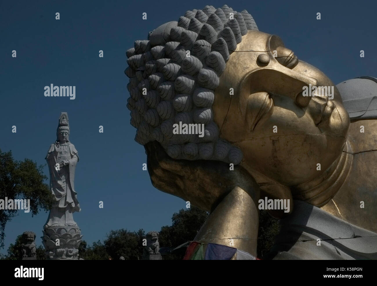 Bacalhoa buddha eden garden hi-res stock photography and images - Alamy
