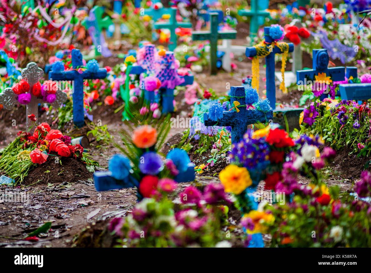 Graves and crosses, decorated with colorful flowers and garlands, are ...