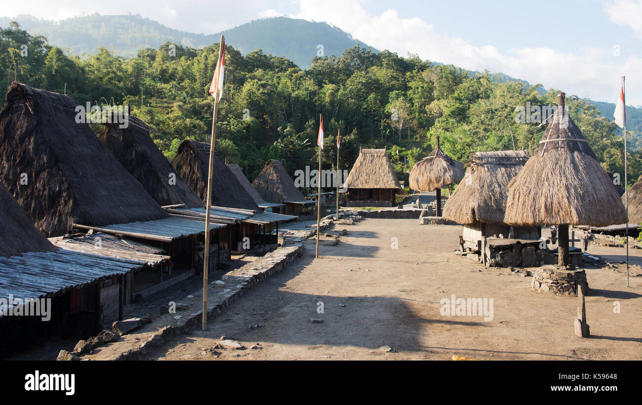 Bena a traditional village with grass huts of the Ngada people in ...