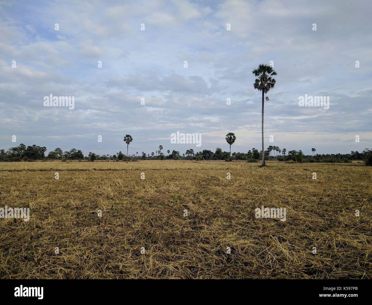 view of central cambodian countryside and temples Stock Photo - Alamy