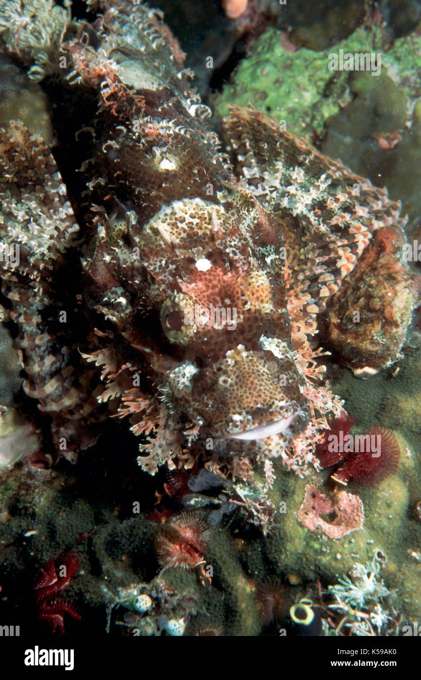 Sulu sea hi-res stock photography and images - Alamy