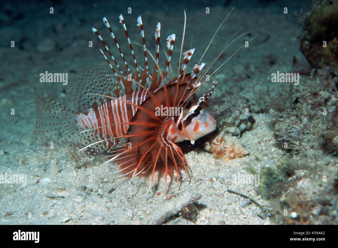 Sulu sea hi-res stock photography and images - Alamy