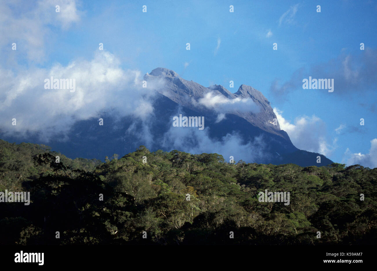 Mount Kinabalu Mountain, and jungle showing peak and clouds Sabah ...