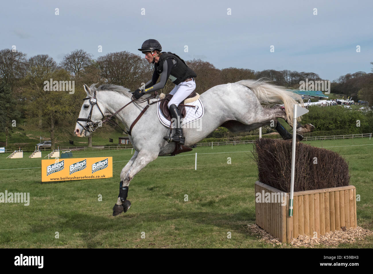 Pigott Stock Photos & Pigott Stock Images - Alamy