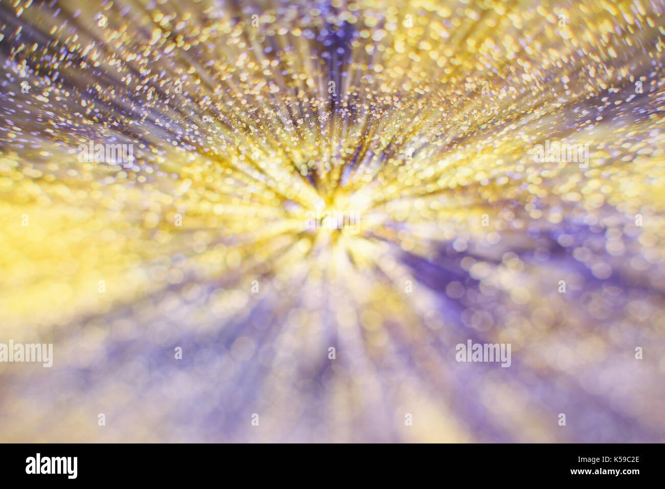 glittering shine bulbs lights background:blur of Christmas wallpaper ...