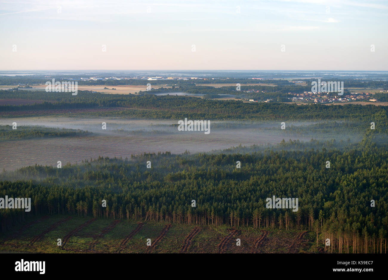 Mist over the forest hi-res stock photography and images - Alamy