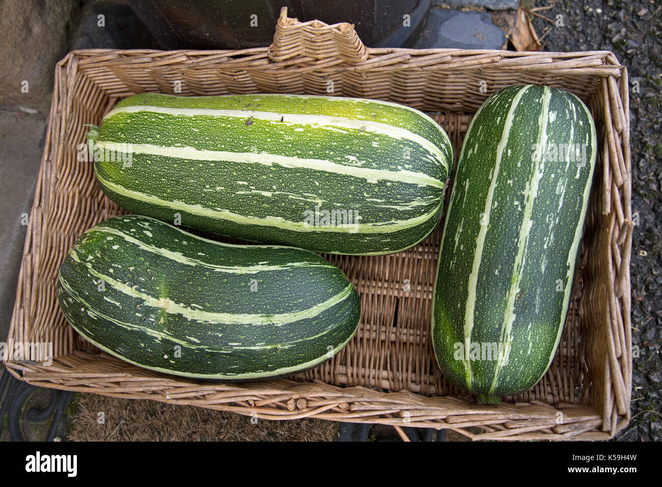 Marrows hi-res stock photography and images - Alamy