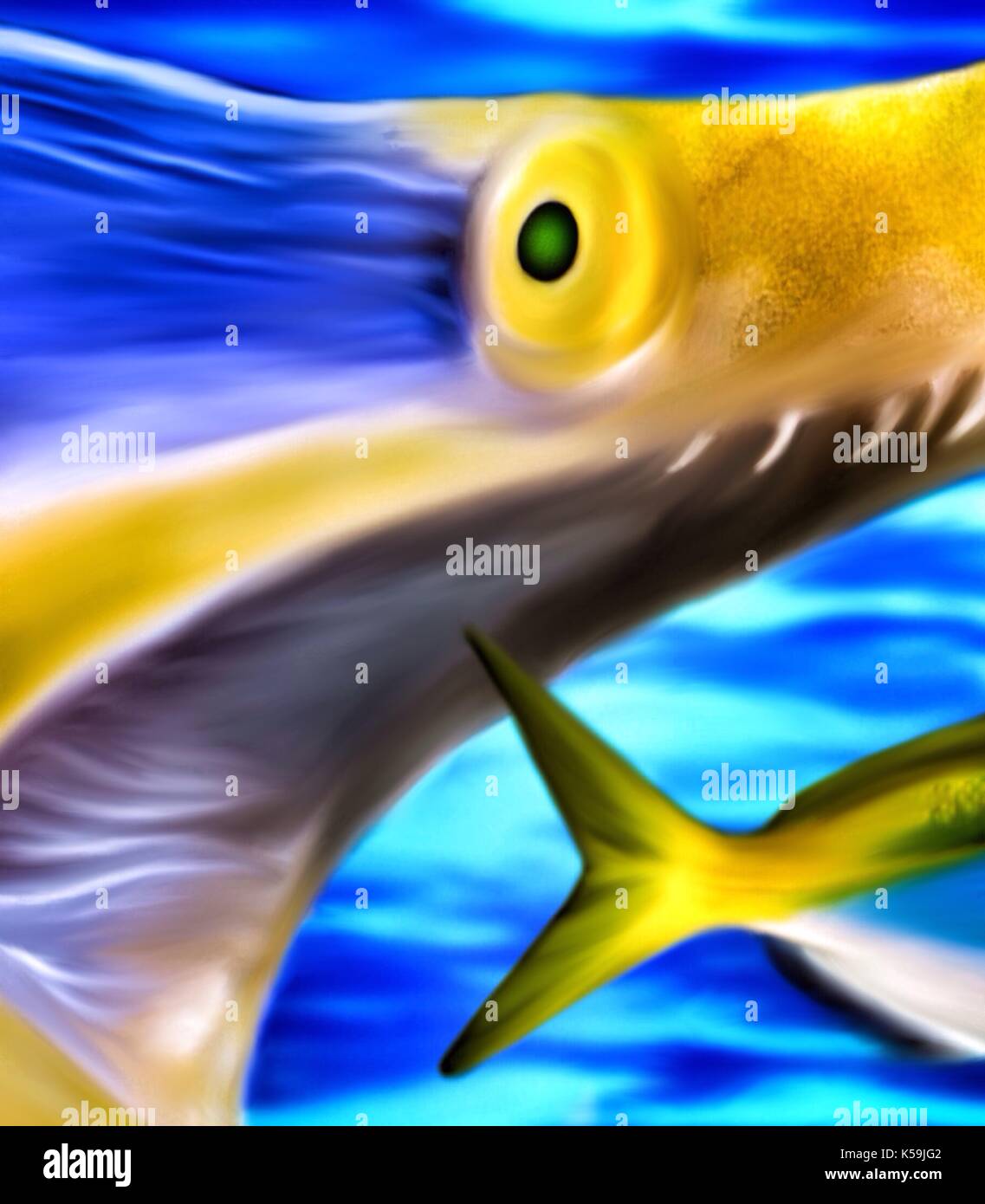 Blue ribbon Eel feed eat fish Stock Photo - Alamy