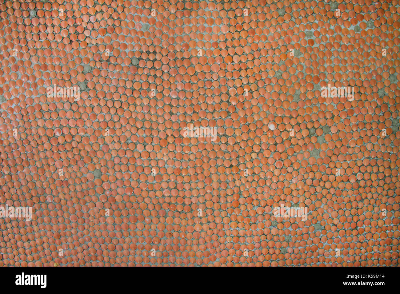 Red snail on floor. Summer beach background Stock Photo - Alamy