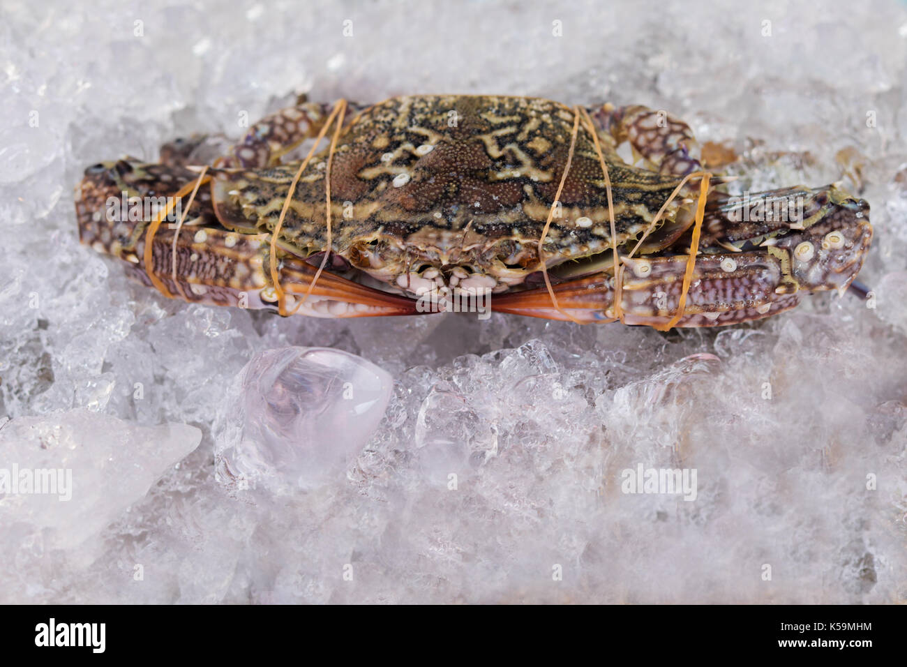 Fresh crab frozen on ice background Stock Photo - Alamy