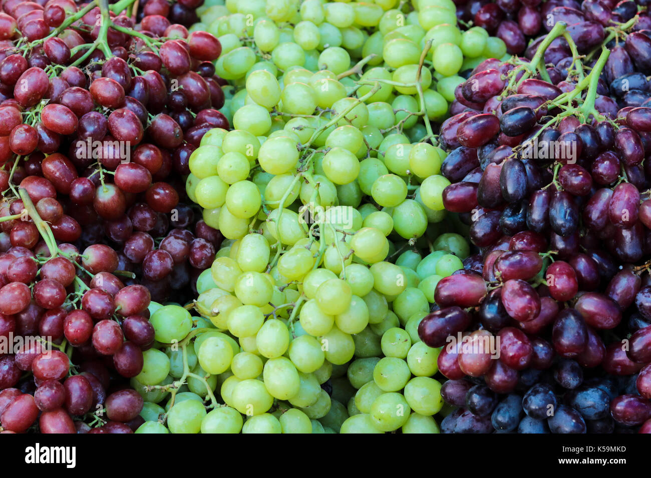 Red and green fresh grapes background.Selective focus Stock Photo - Alamy
