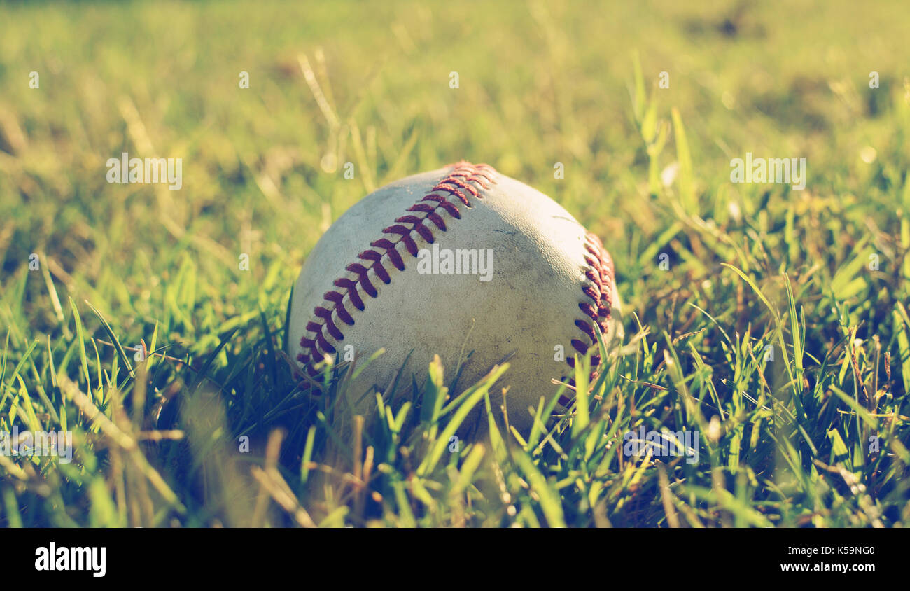 Baseball outfield grass hi-res stock photography and images - Alamy