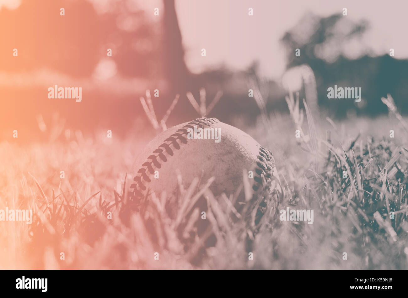 American baseball hi-res stock photography and images - Alamy