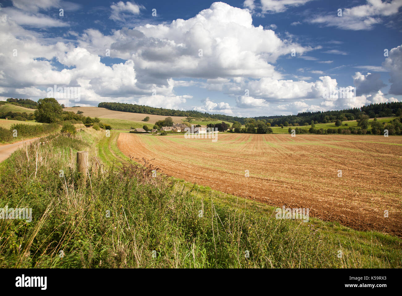 Cotswold sheep spring village hi-res stock photography and images - Alamy