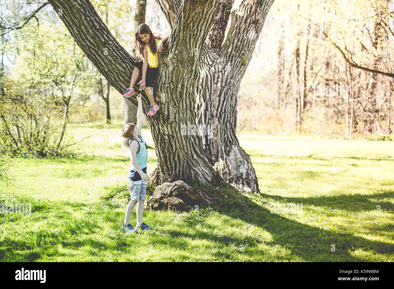 Portrait of a little girl on a tree with.his friend giving a flower ...