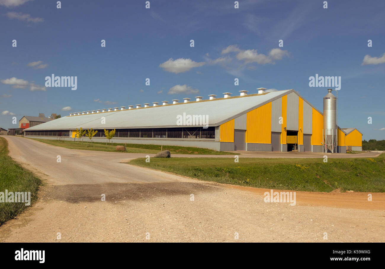 Modern dairy farm landscape barn hi-res stock photography and images ...