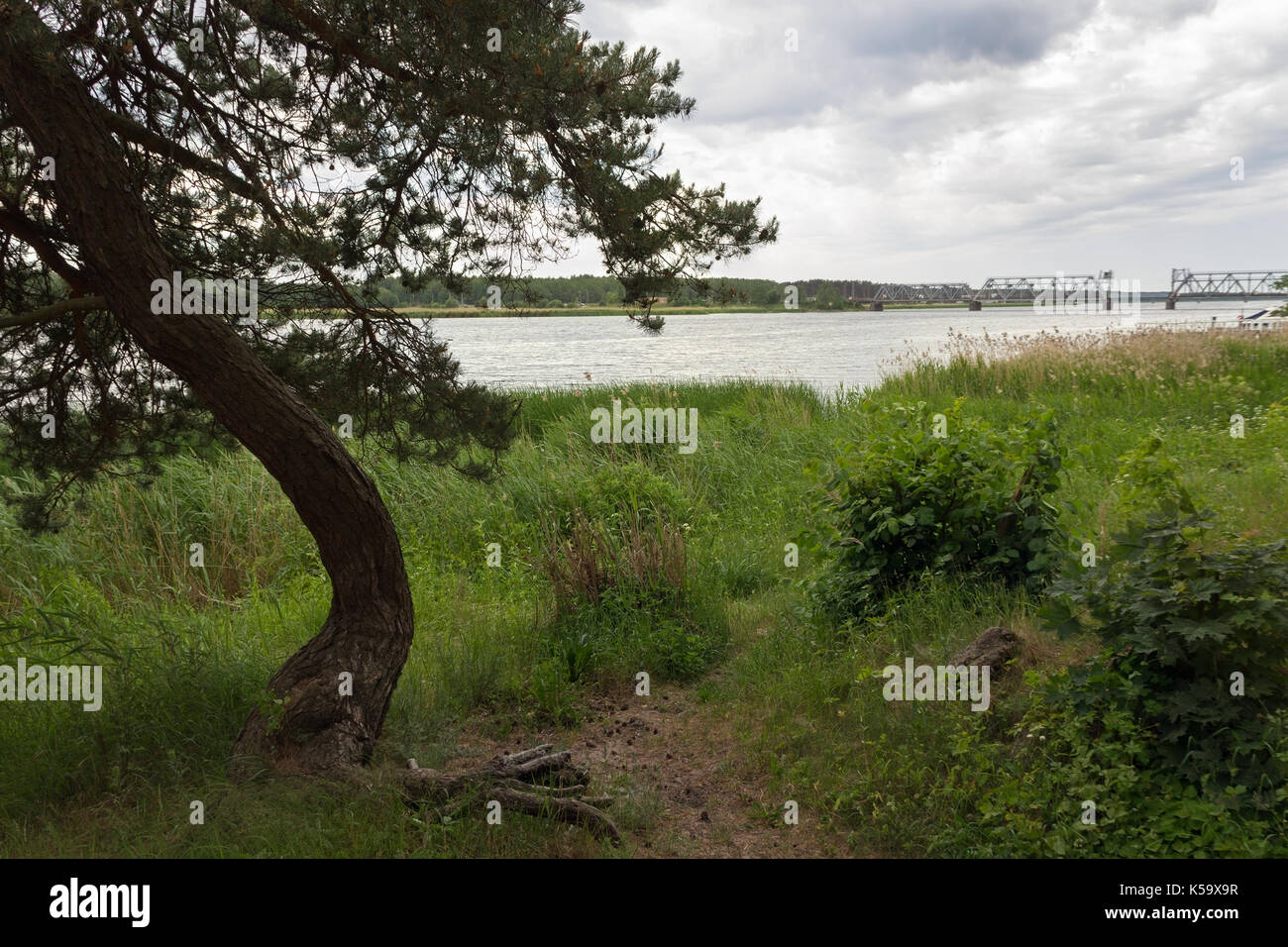 River lielupe, latvia hi-res stock photography and images - Alamy