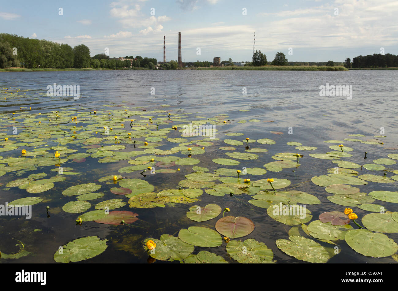 Lielupe hi-res stock photography and images - Alamy