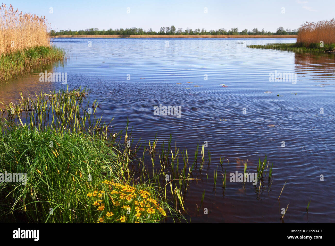 View of natural estuary, small river is flowing into the big Stock ...