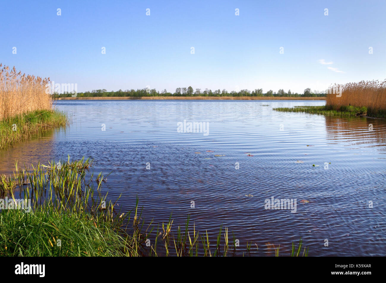 View of natural estuary, small river is flowing into the big Stock ...