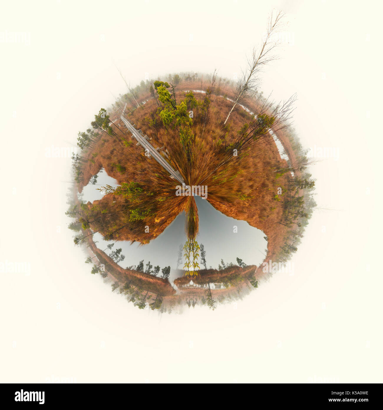 Little planet 360 degree sphere. Panoramic view of Kemeri National Park ...
