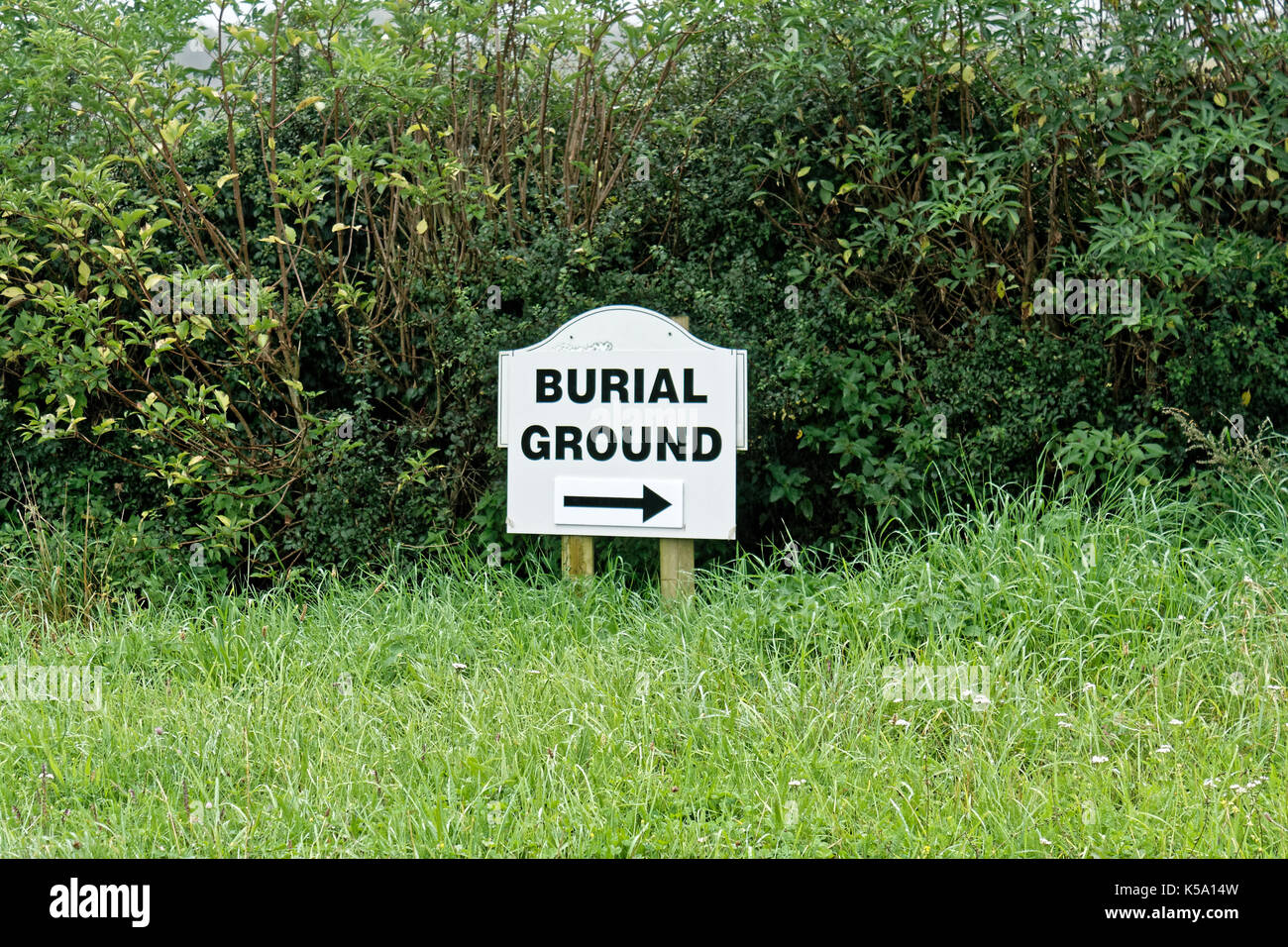 Burial ground sign in hedgerow Stock Photo - Alamy