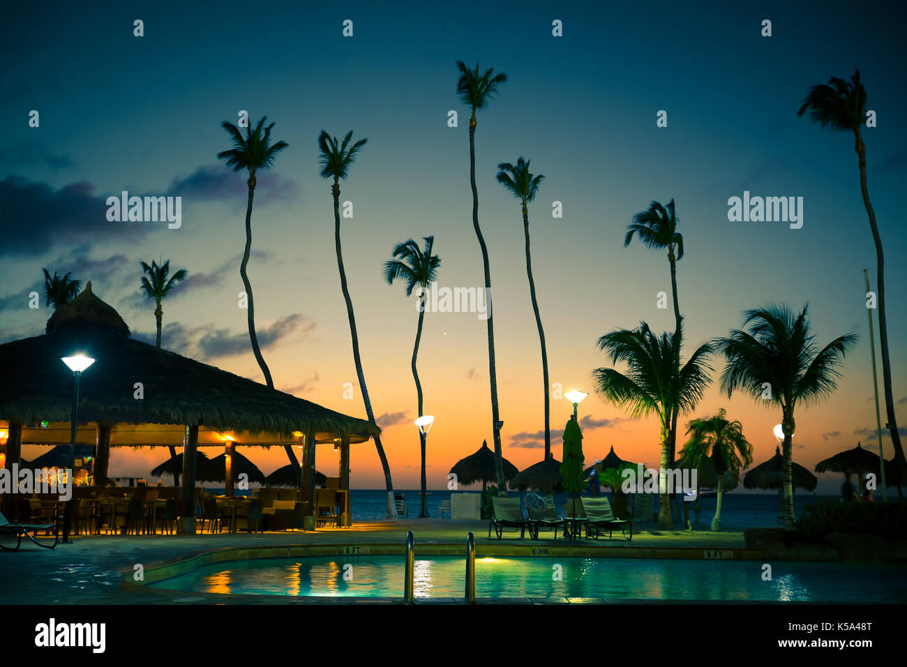 Palm trees pool hi-res stock photography and images - Alamy