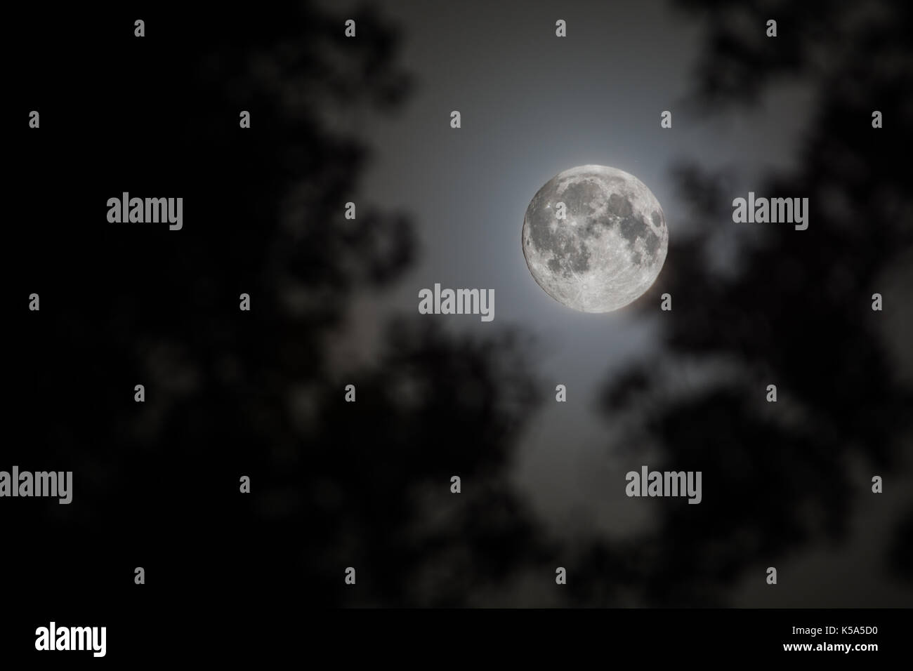 Blurred detail full moon hi-res stock photography and images - Alamy