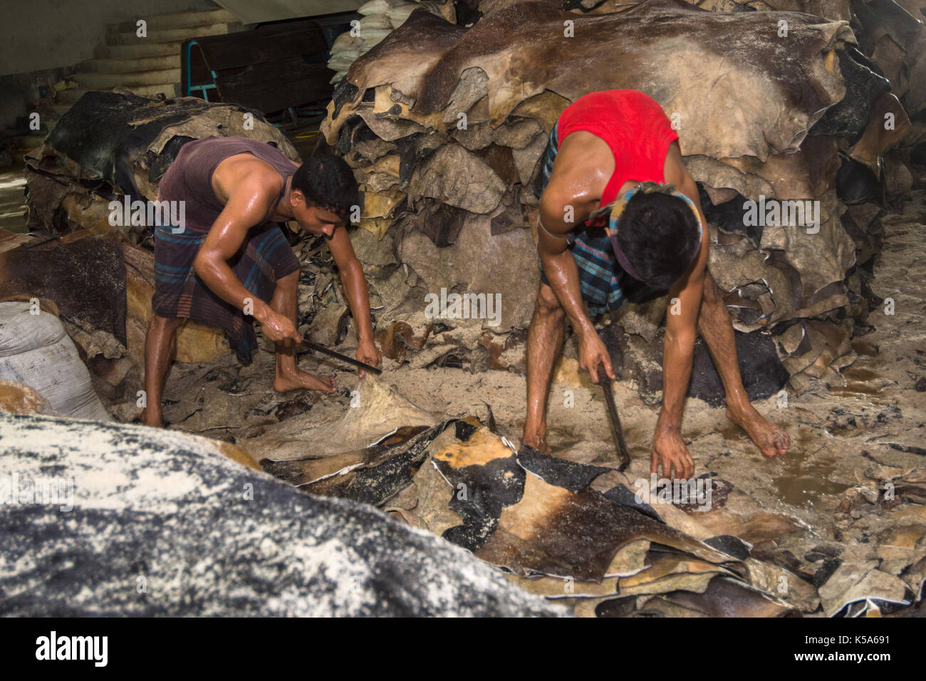 Tanner hi-res stock photography and images - Alamy