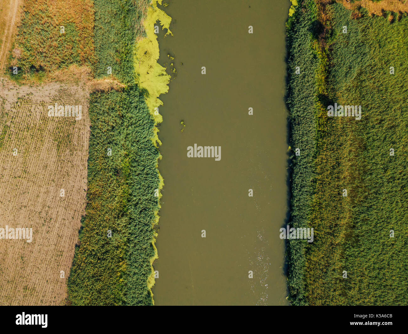 Aerial view of the river from drone point of view, top view Stock Photo ...