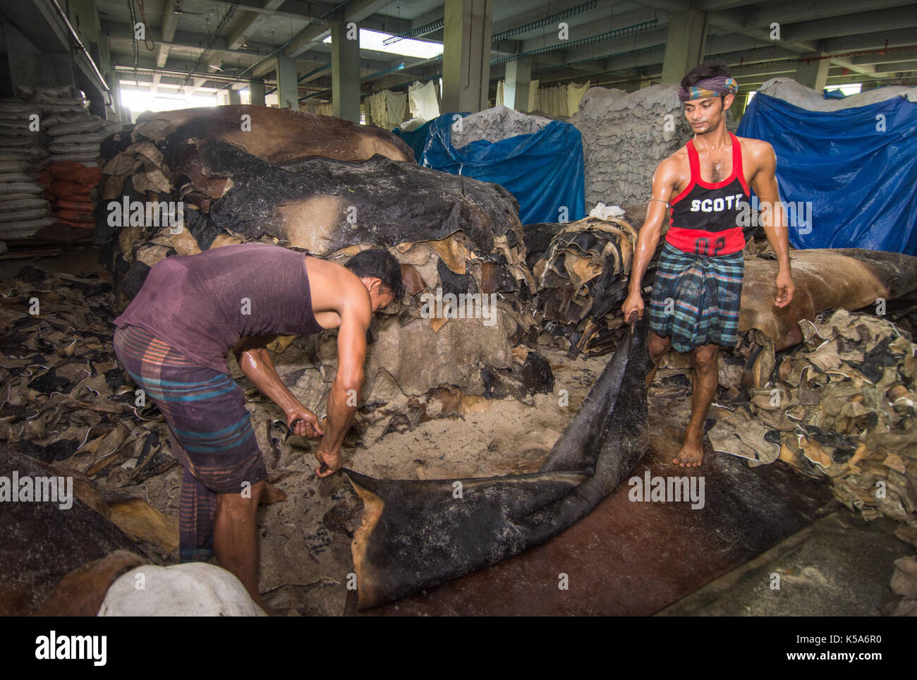 Tanner at work hi-res stock photography and images - Alamy