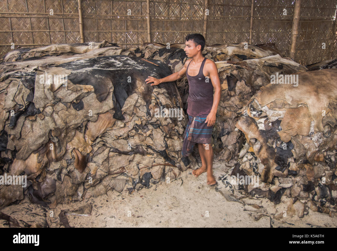 Lather Tanners (Tanner at work in the traditional tanner's Stock Photo ...