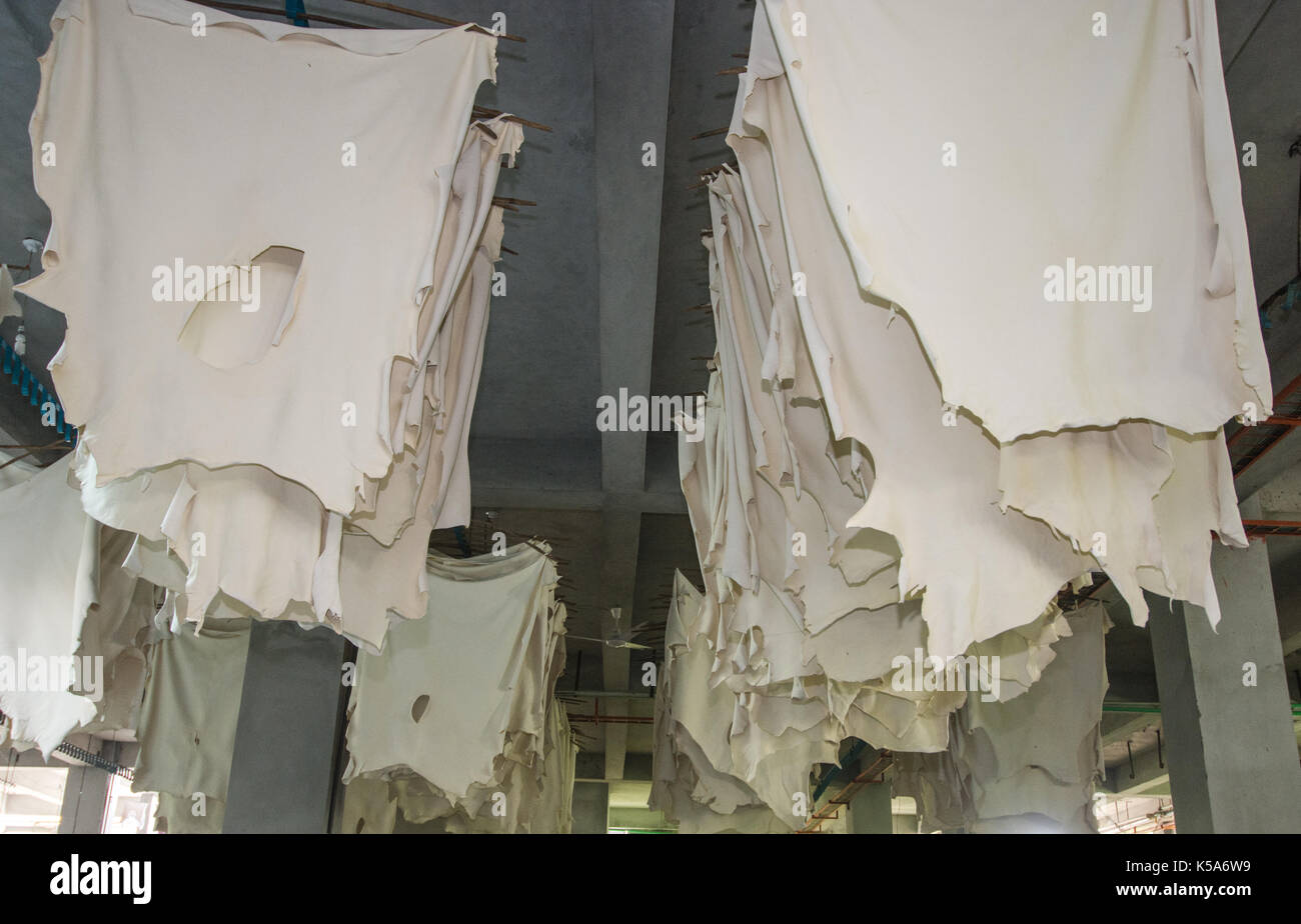 Lather Tanners (Tanner at work in the traditional tanner's Stock Photo ...