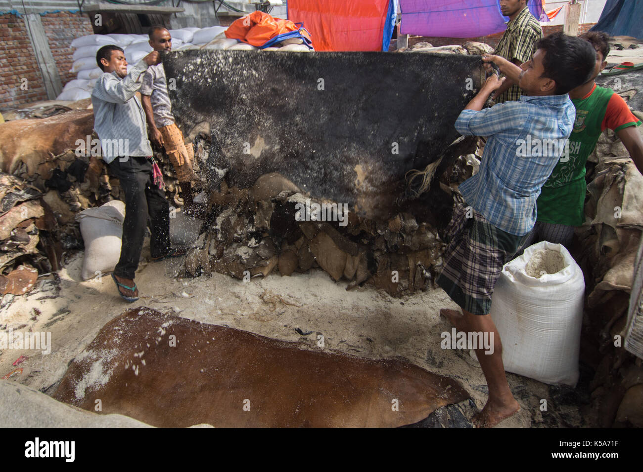 Lather Tanners (Tanner at work in the traditional tanner's Stock Photo ...