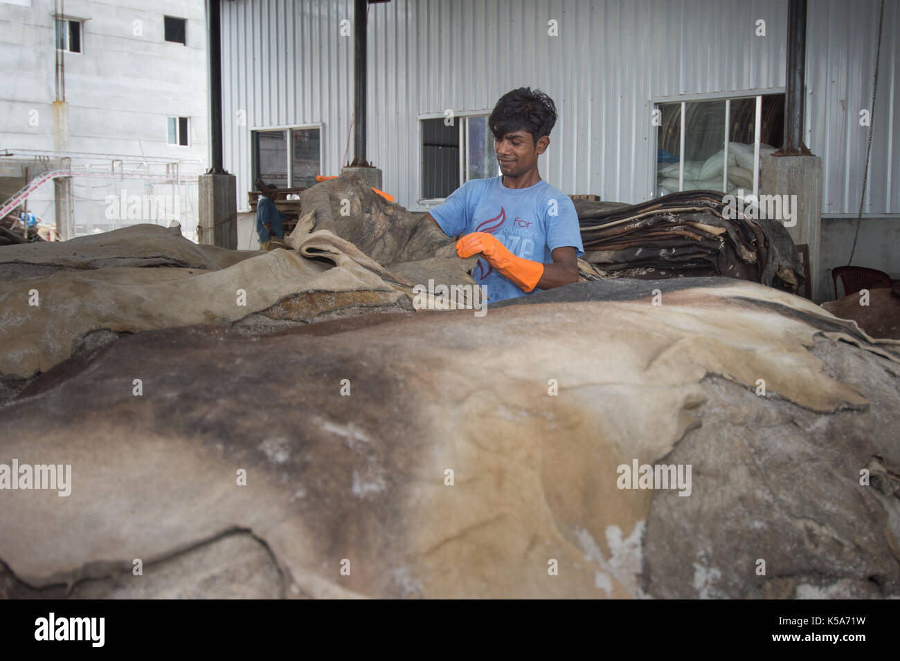 Lather Tanners (Tanner at work in the traditional tanner's Stock Photo ...