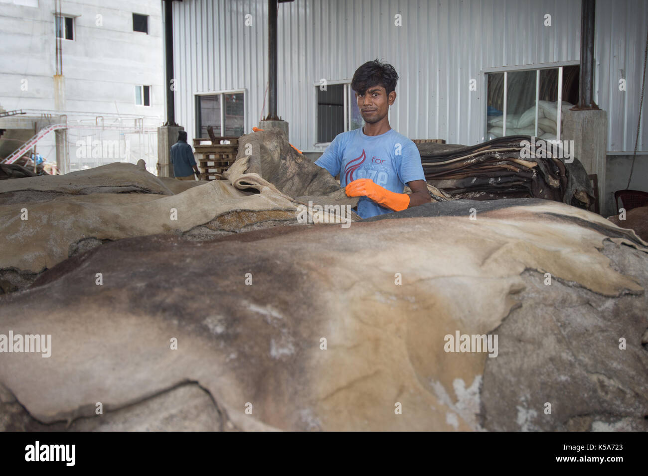 Lather Tanners (Tanner at work in the traditional tanner's Stock Photo ...