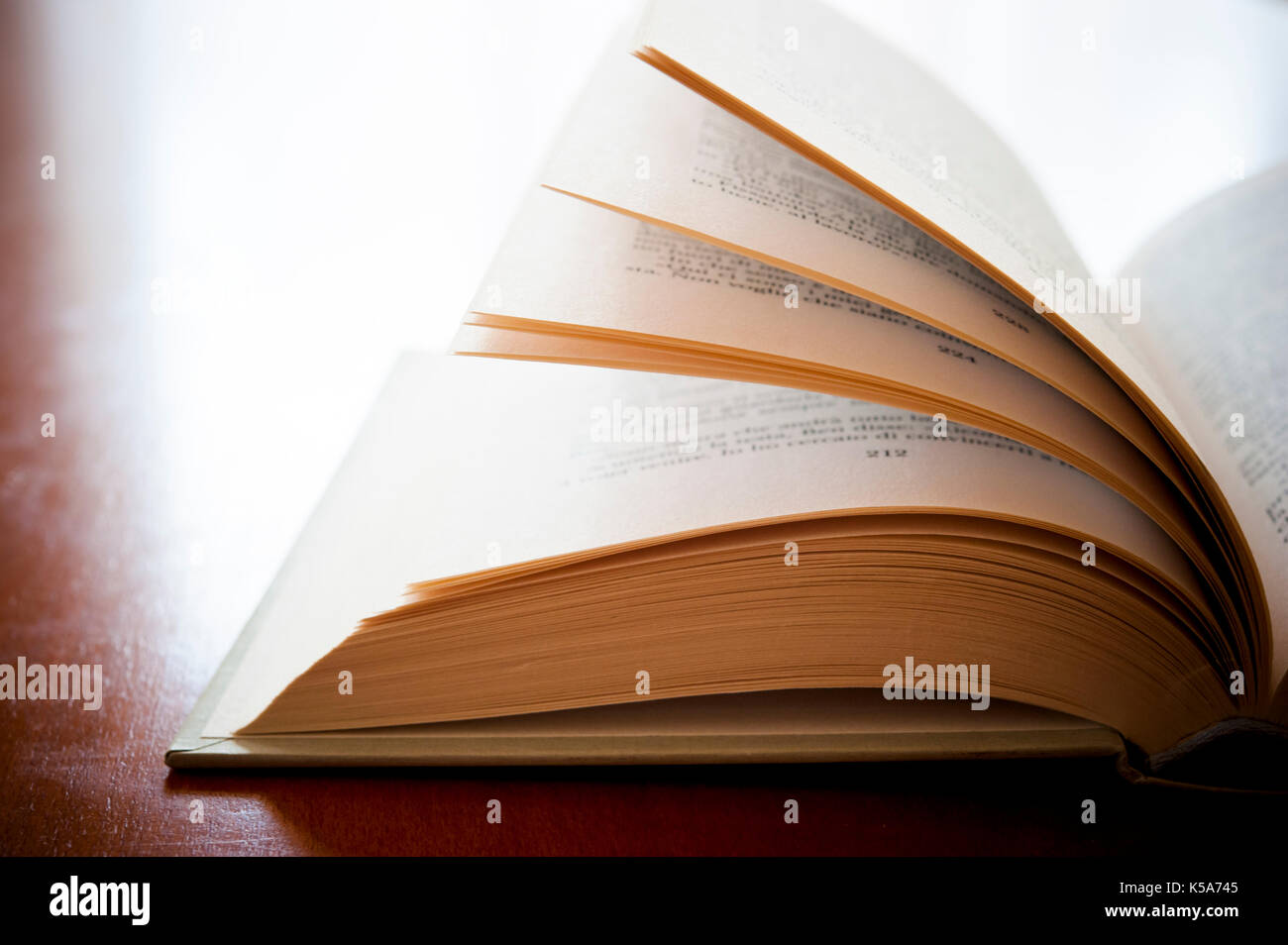 Open book reading hi-res stock photography and images - Alamy