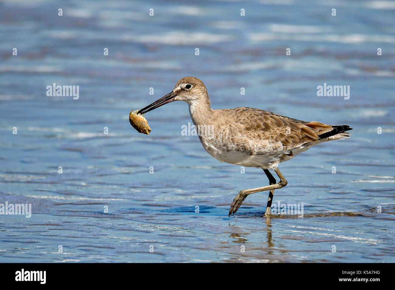 Catch balance hi-res stock photography and images - Alamy