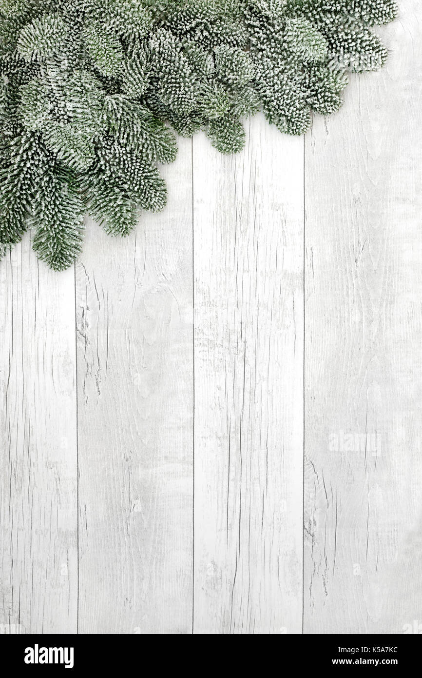 Snow covered spruce fir background border on distressed white wood ...